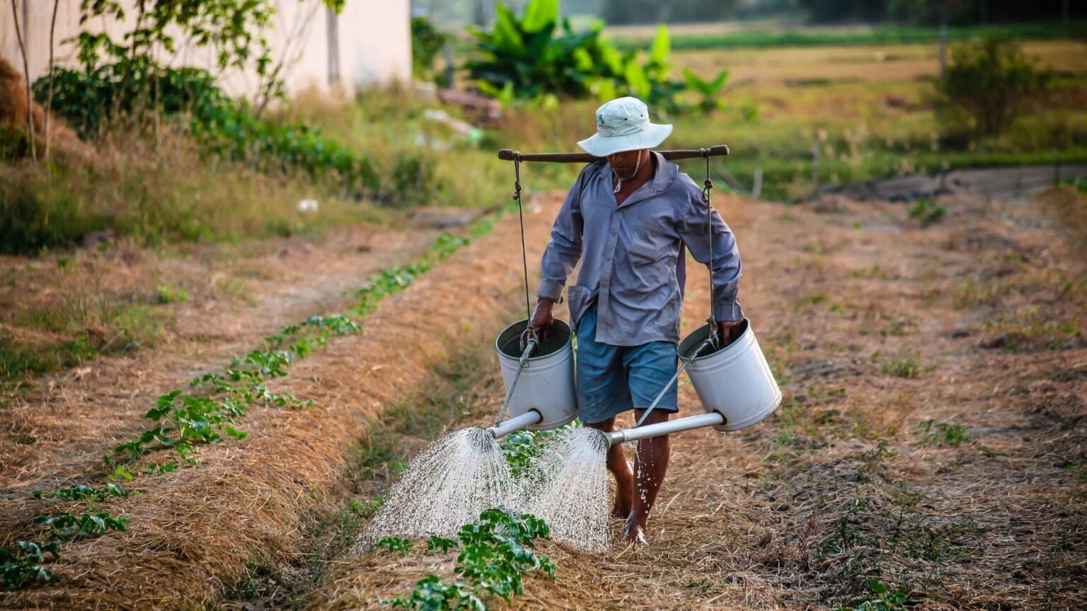Top Water-Efficient Crops for Indian Farmers: A Comprehensive Guide ...